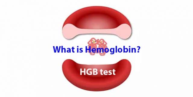 What is hemoglobin? Causes of high and low levels. HGB test