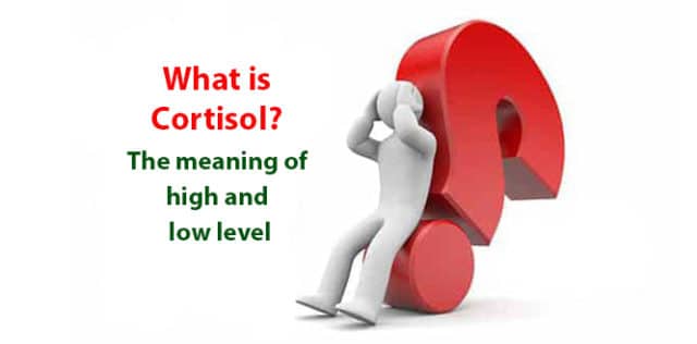 What is Cortisol? The meaning of high and low level